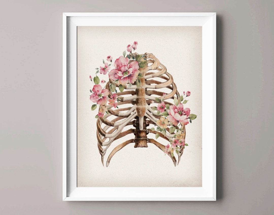 Floral Rib Cage Art Vintage Anatomy Print Orthopedic Surgeon Office ...
