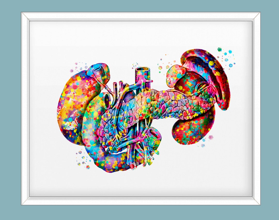 Pancreas Art Watercolor Anatomy Art Digestive System Poster Medical Art ...