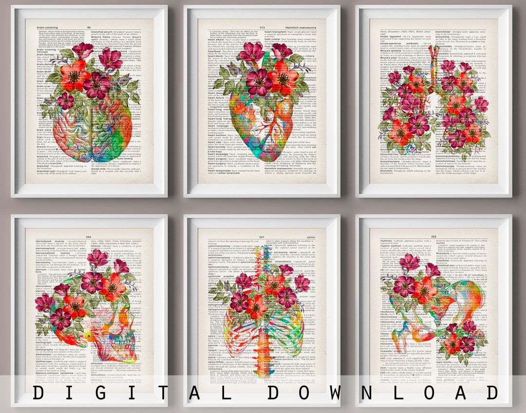 Anatomy Art Set of 6, Floral Internal Organ Drawing, Skeletal Bones ...
