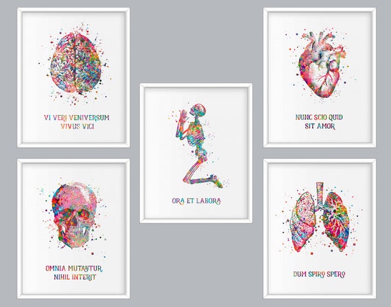 5 Watercolor Anatomy Posters Medical Artwork Science Quotes - Etsy