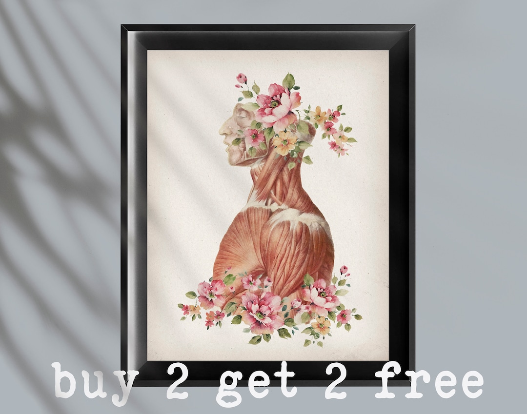 Vintage Muscular System Anatomy Art Neck Muscles Poster Shoulder Art ...