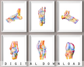 12 Podiatrist Office Decor Foot Anatomy Diagram Medical Poster ...