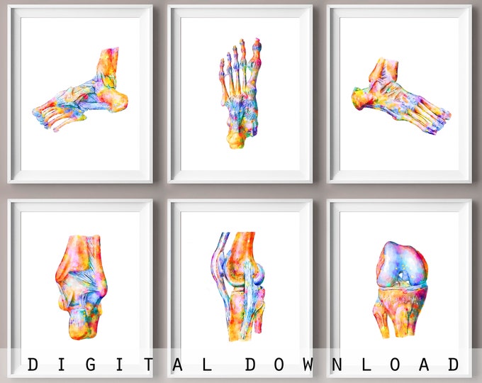 Foot Anatomy 6 Posters, Skeletal Bones Print, Podiatry Art, Medical ...