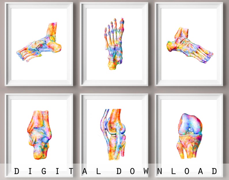Foot Anatomy Art Ankle Joint Heel Poster Foot Bones Chart - Etsy