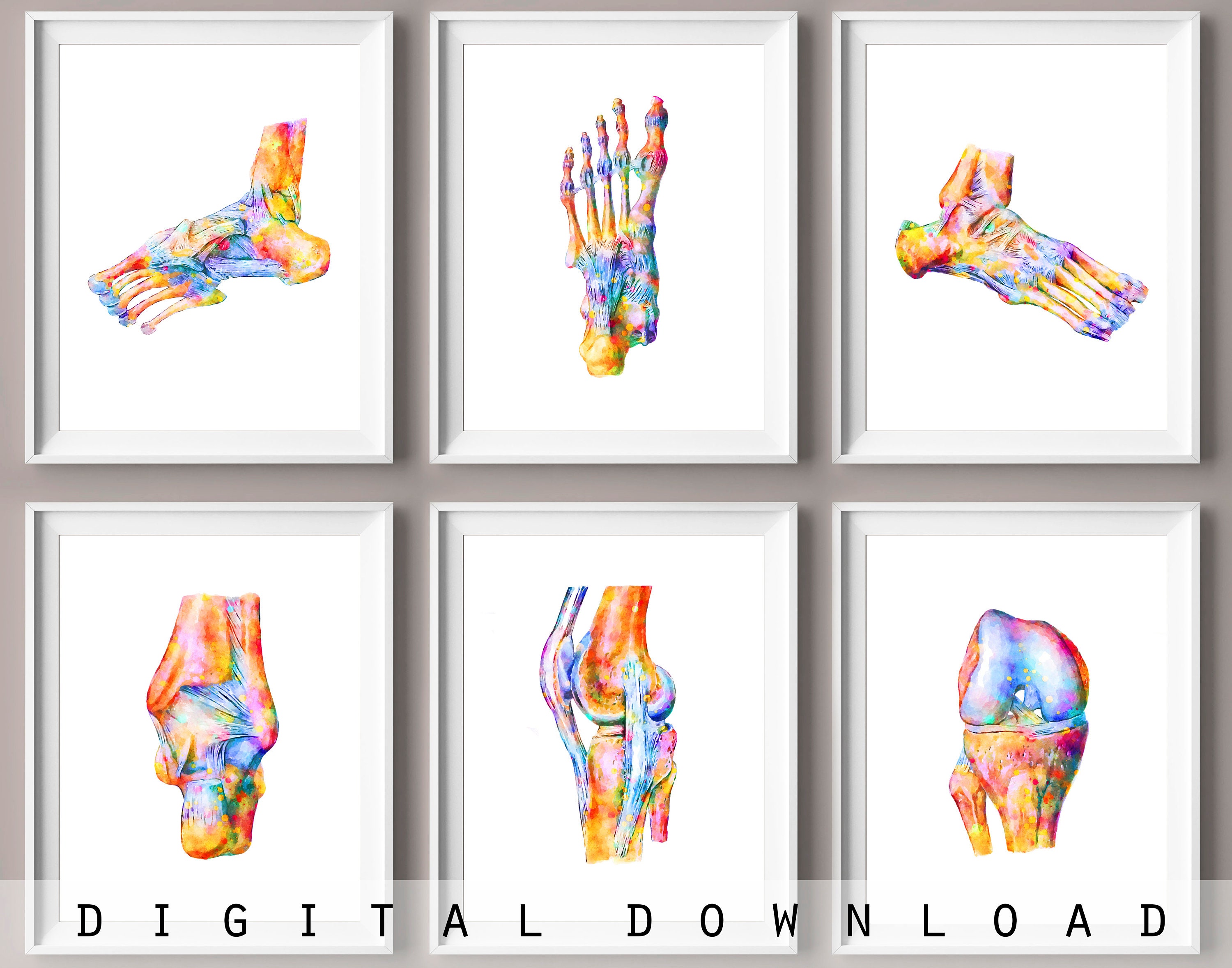 Anatomía del pie Arte Tobillo Articulación Talón Póster Tabla - Etsy México
