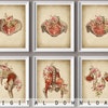 4 Rabbit Anatomy Posters Skeleton and Muscles Diagram Small Mammals ...