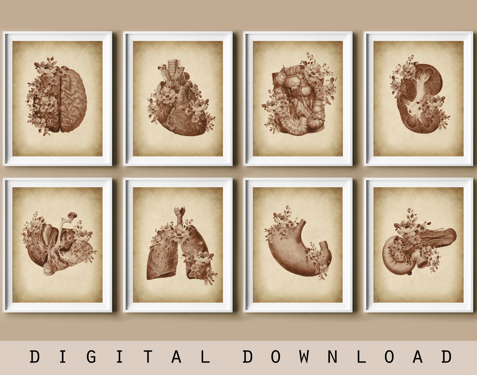 8 Anatomical Drawing Human Internal Organs Art Physiology Art - Etsy