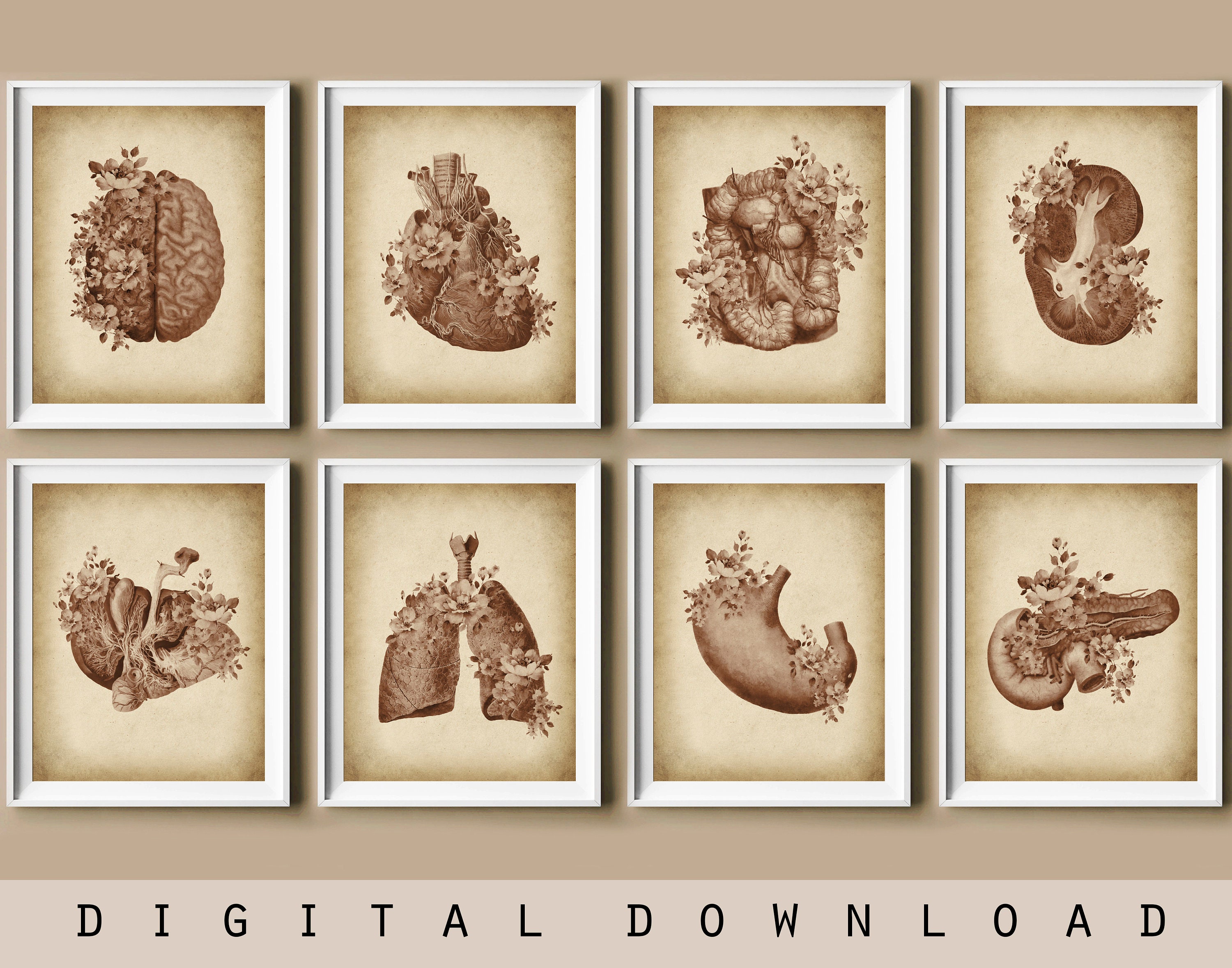 8 Anatomical Drawing Human Internal Organs Art Physiology Art | Etsy