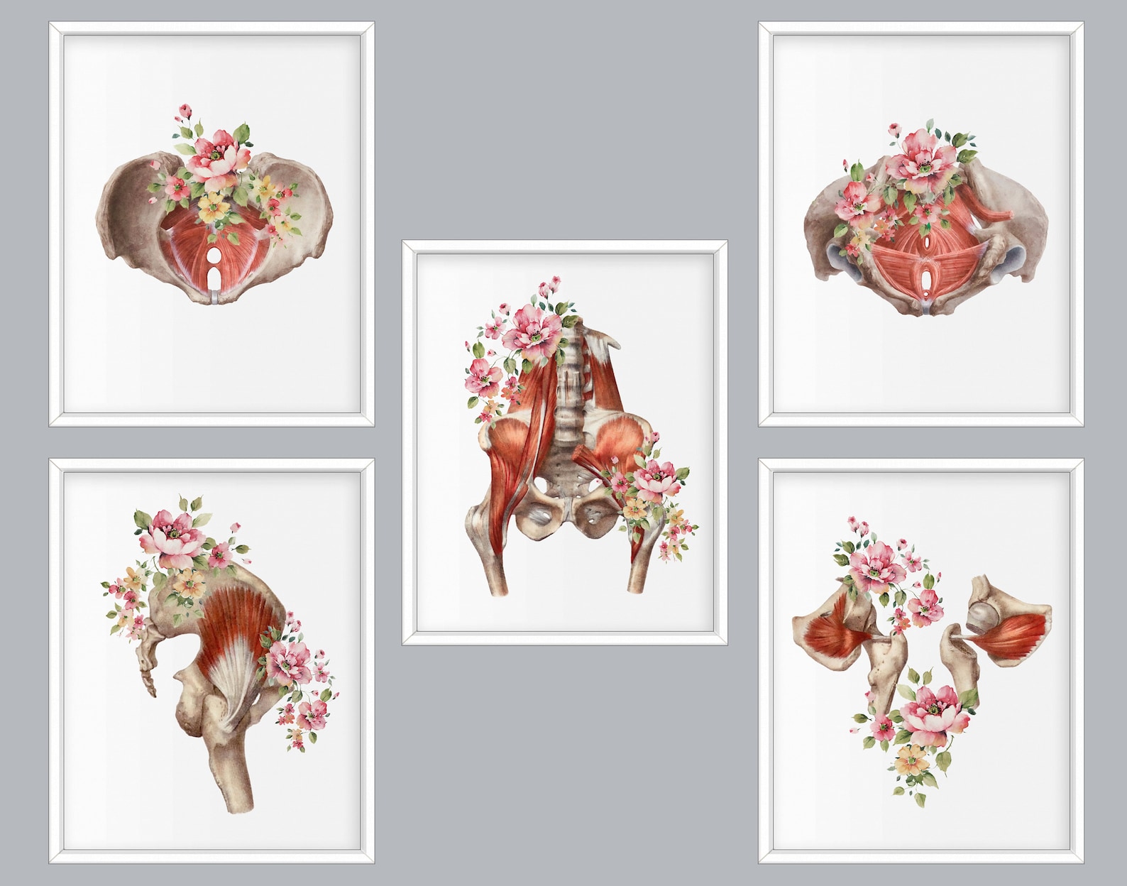 5 Female Pelvis and Flowers Art Watercolor Anatomy Drawing | Etsy