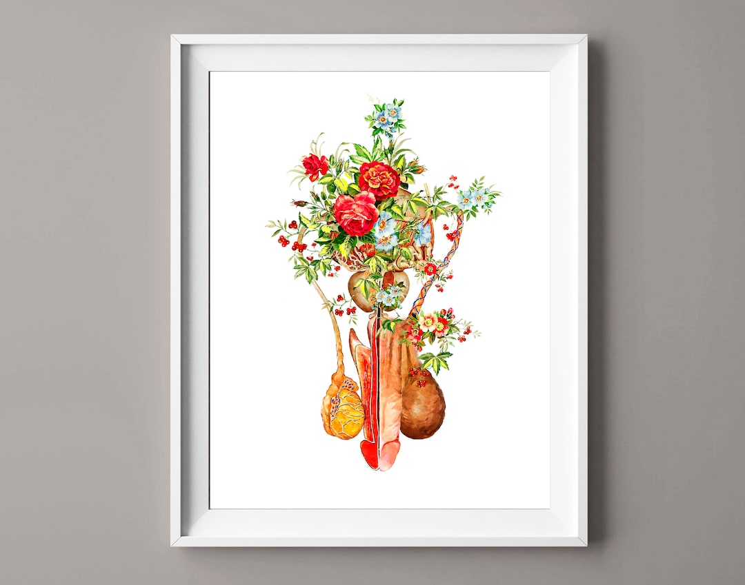 Male Anatomy Art Male Reproductive System Physiology Art Floral Penis ...