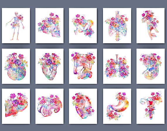 15 Watercolor Anatomy Art Floral Medical Art Doctor Gift | Etsy
