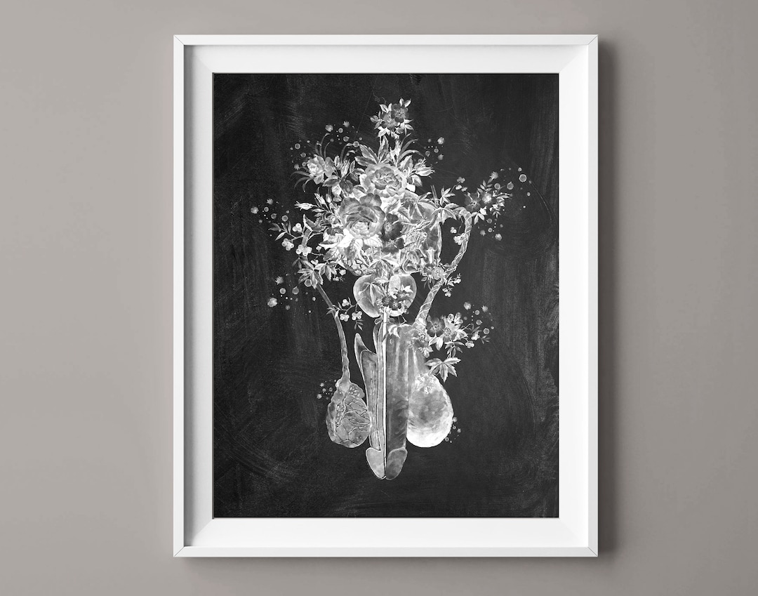Anatomical Penis and Testicles Art Chalkboard Artwork Male Sexual ...