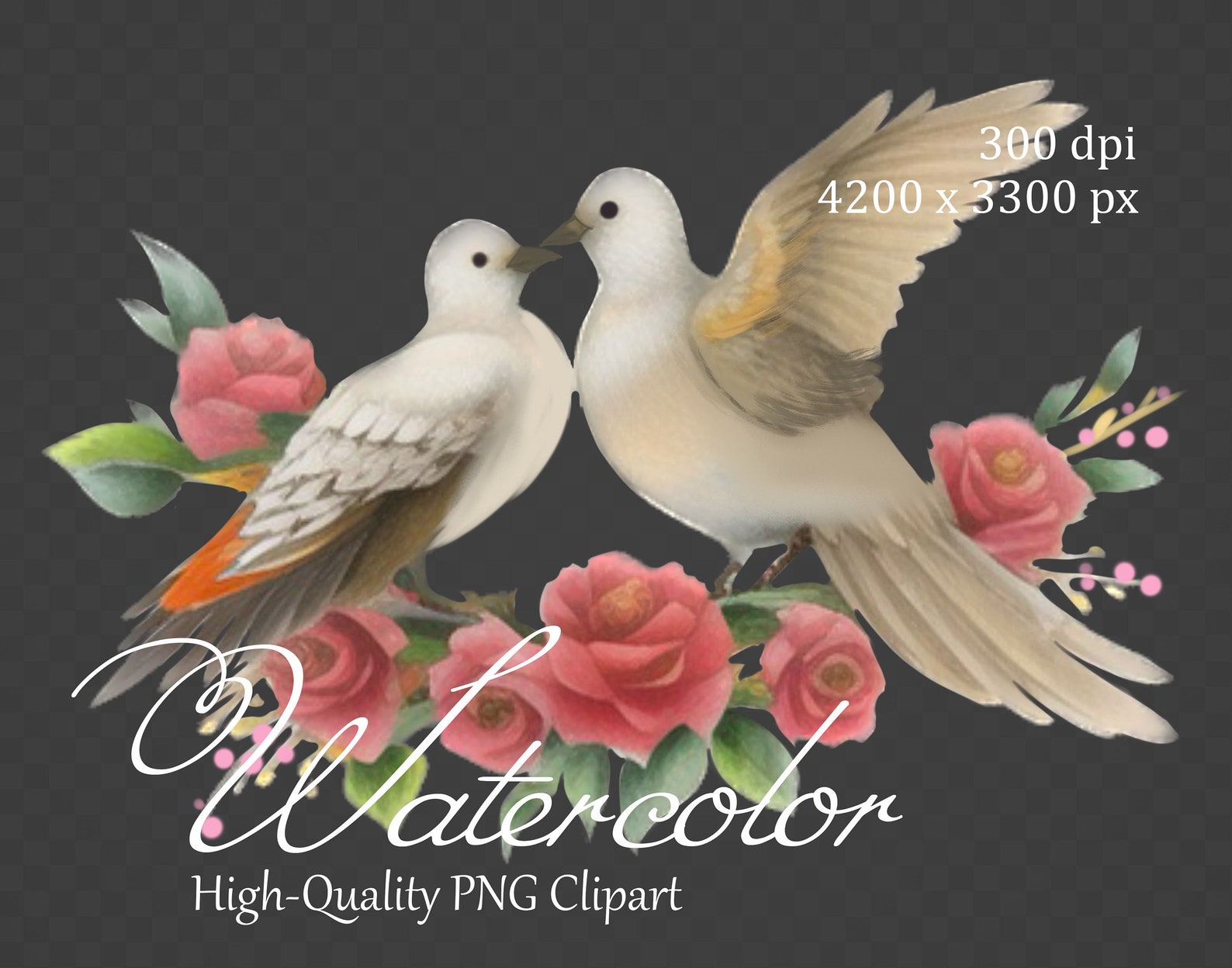 Pigeon & Red Roses Clipart: Romantic Bird Art (PNG, JPEG) - Etsy