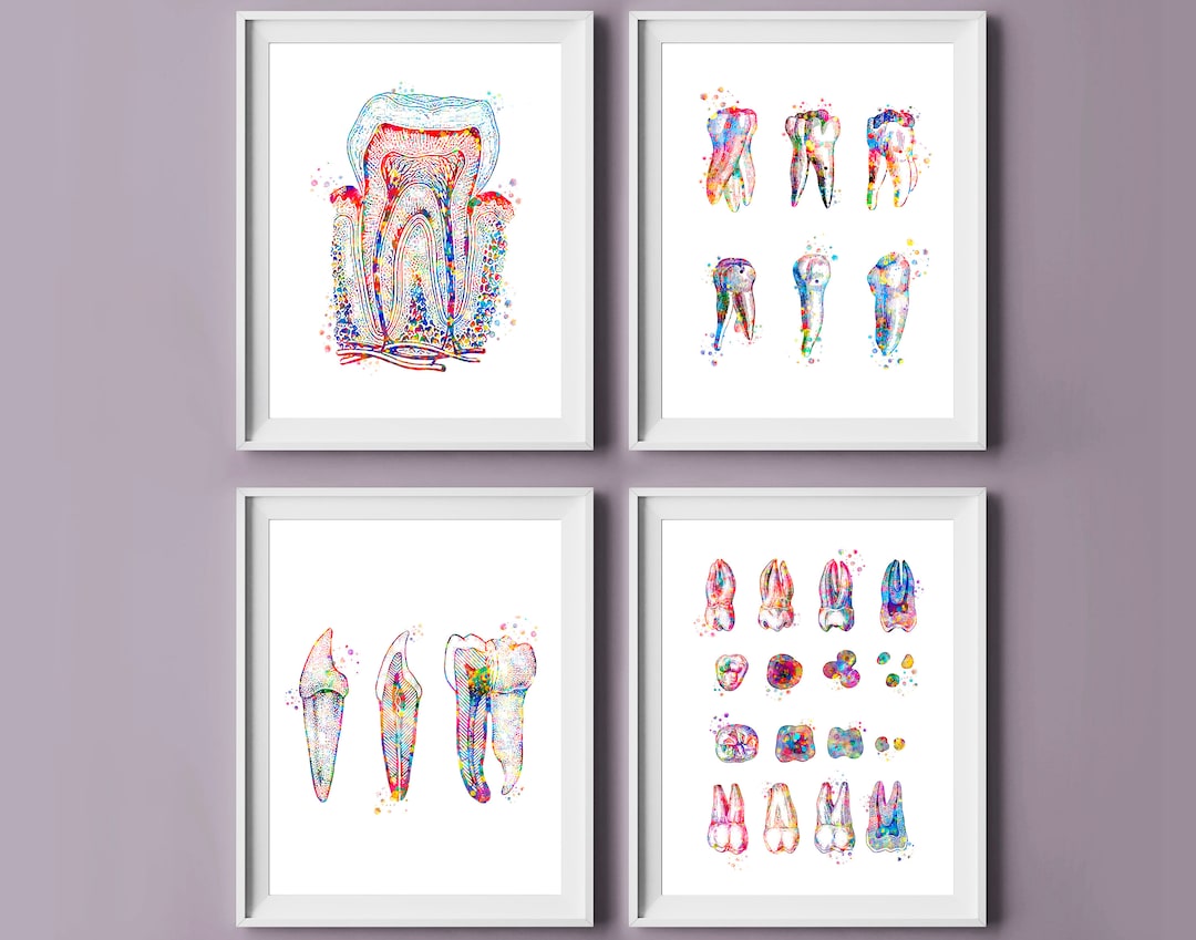 4 Tooth Anatomy Art Dental Poster Medical Decor Dentist Gift Dental ...