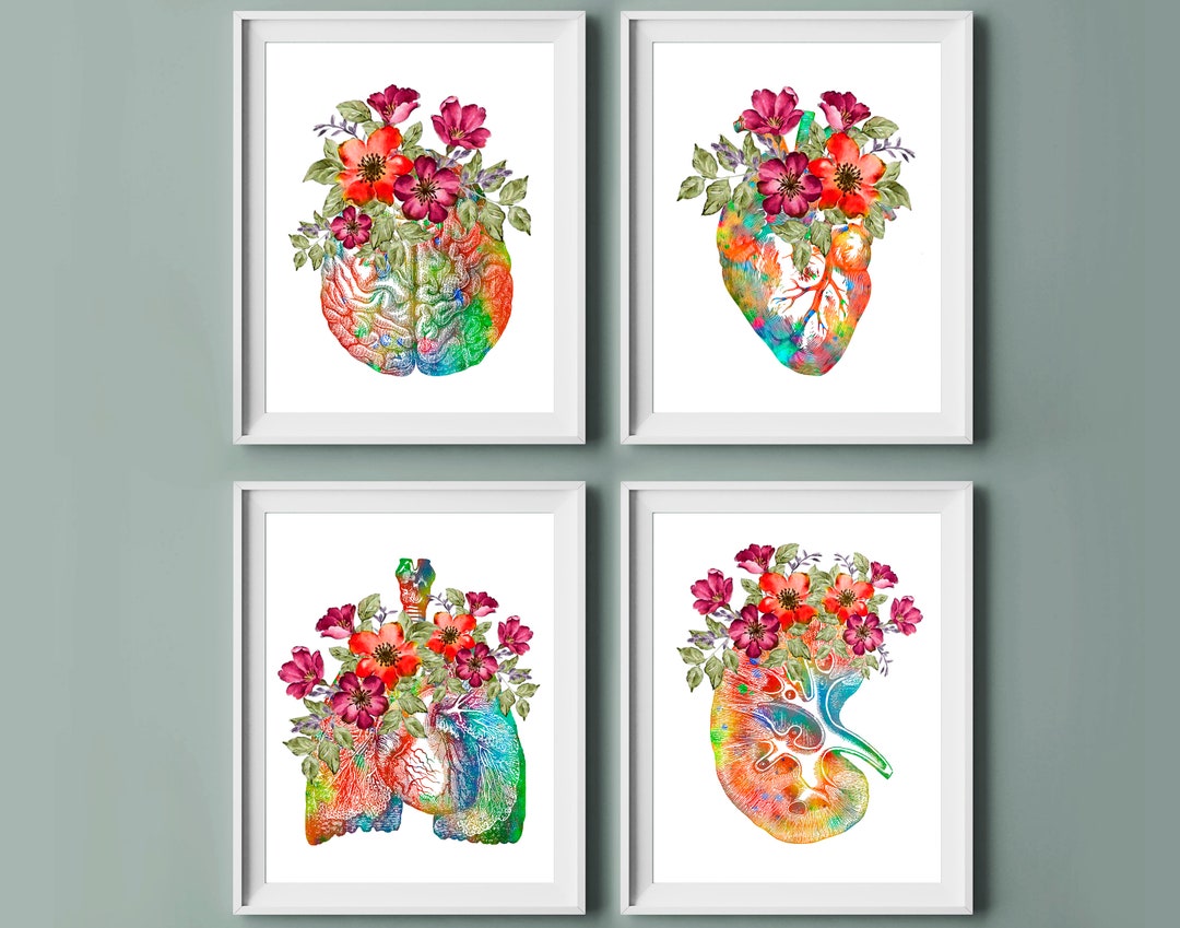 4 Floral Anatomy Artworks Medical Art Watercolor Painting Physiology ...