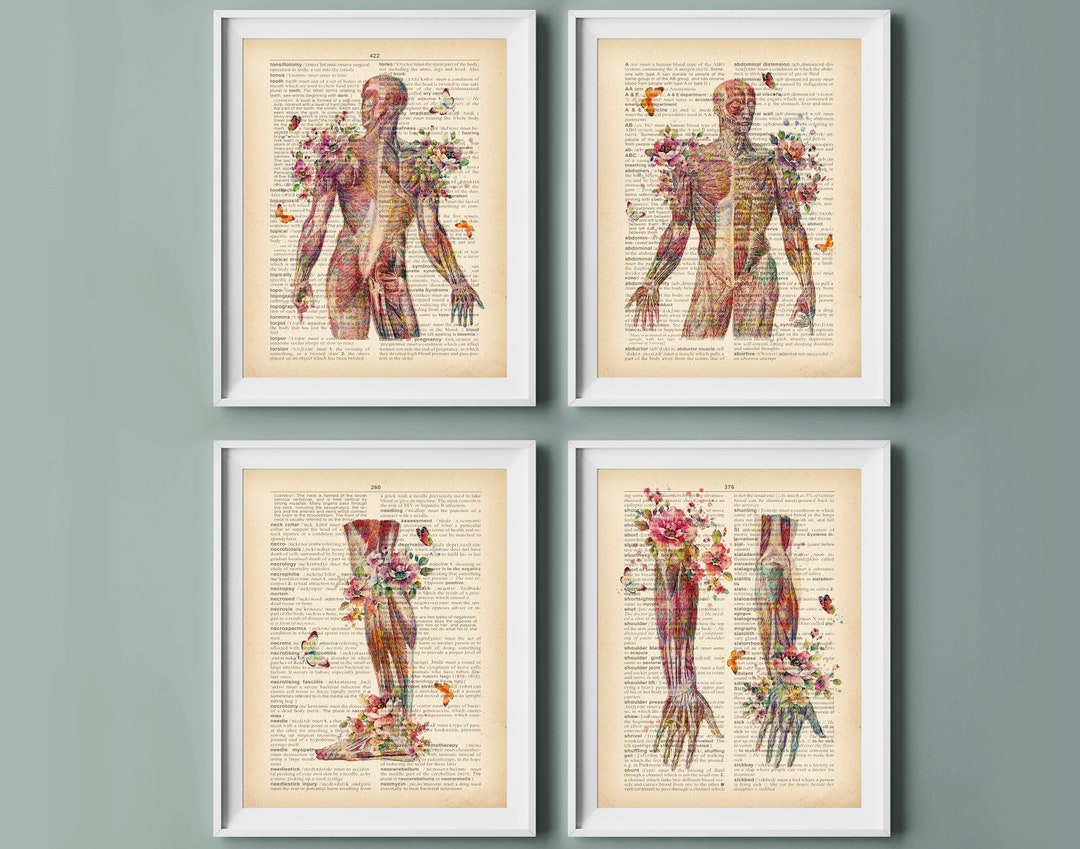 4 Medical Dictionary Art Human Anatomy Art Physiology Art Vintage ...