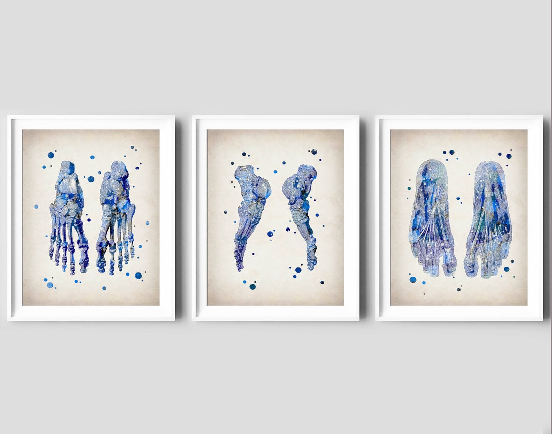 3 Foot Anatomy Art Podiatry Clinic Decor Orthopedic Gift Foot Diagram ...