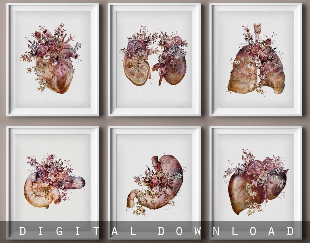6 Watercolor Anatomical Art Vintage Anatomy Decor Human Floral Heart ...