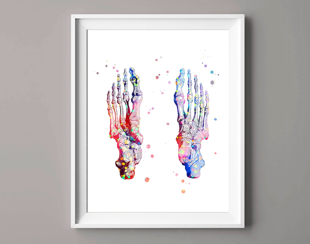 Watercolor Foot Anatomy Art Foot Bones Art Orthopedic Art Medical Art ...