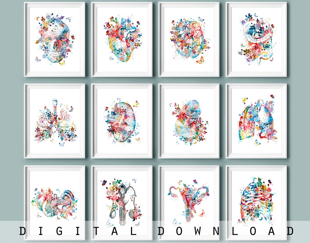 Set 12 Watercolor Anatomy Decor Floral Organ Art Medical Art Science ...