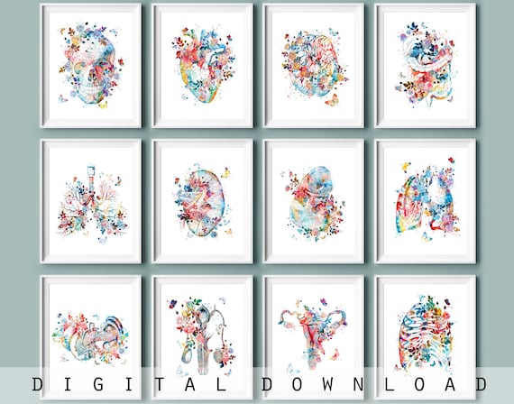 Set 12 Watercolor Anatomy Decor Floral Organ Art Medical Art - Etsy