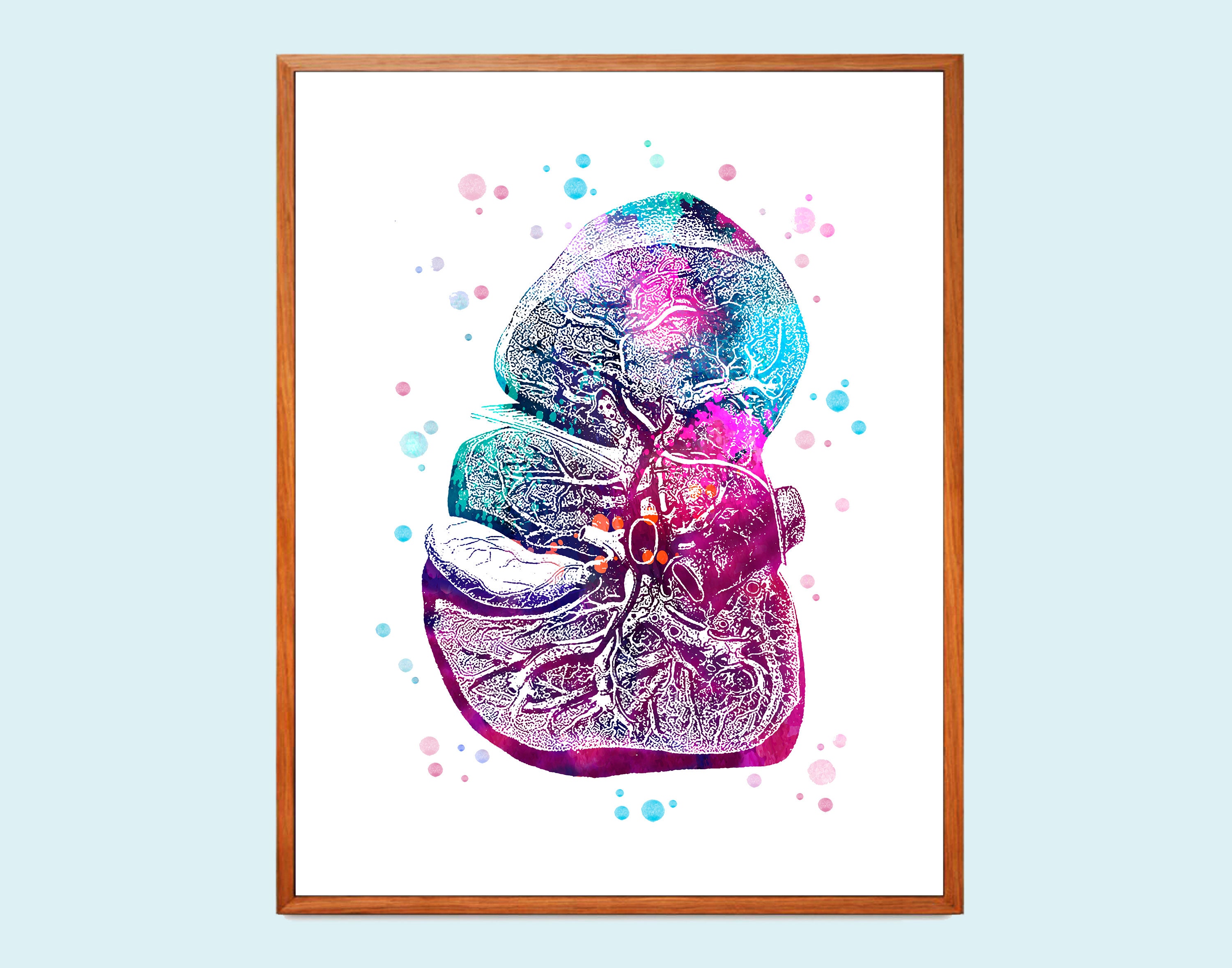 Anatomical liver art Human internal organs print Watercolor | Etsy