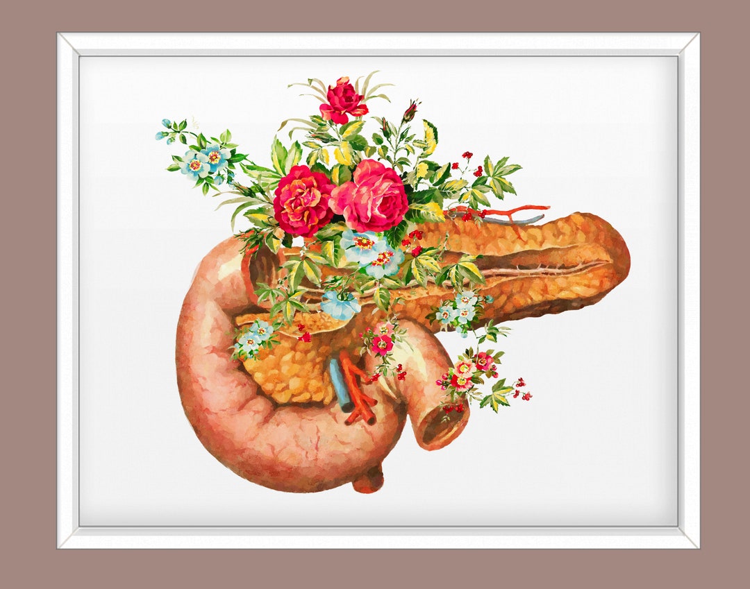 Floral Pancreas Art Endocrine System Anatomy Art Medical Artwork ...