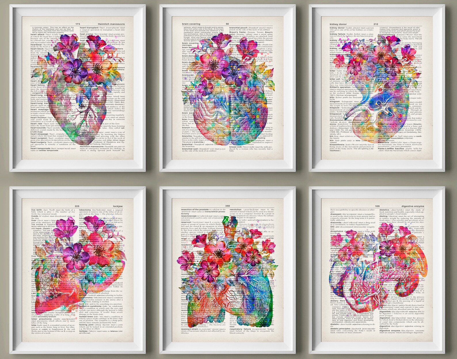 6 Colorful Anatomy Art Floral Medical Artwork Old Dictionary - Etsy