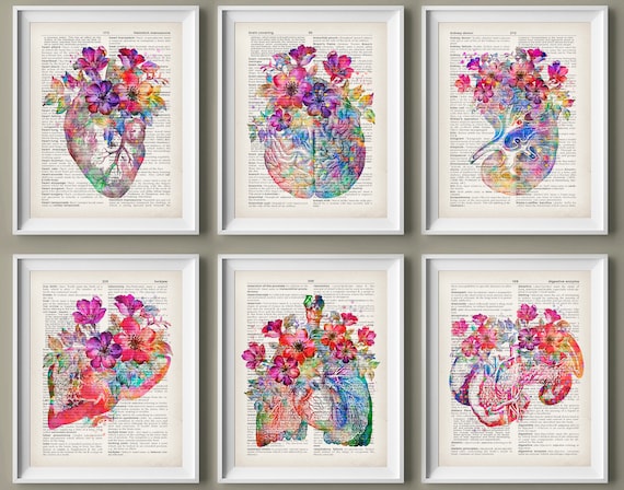 6 Colorful Anatomy Art Floral Medical Artwork Old Dictionary - Etsy