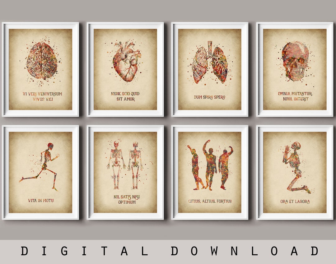 Antique Medical Poster Set 8, Latin Quotes, Medical Quotes, Doctor ...