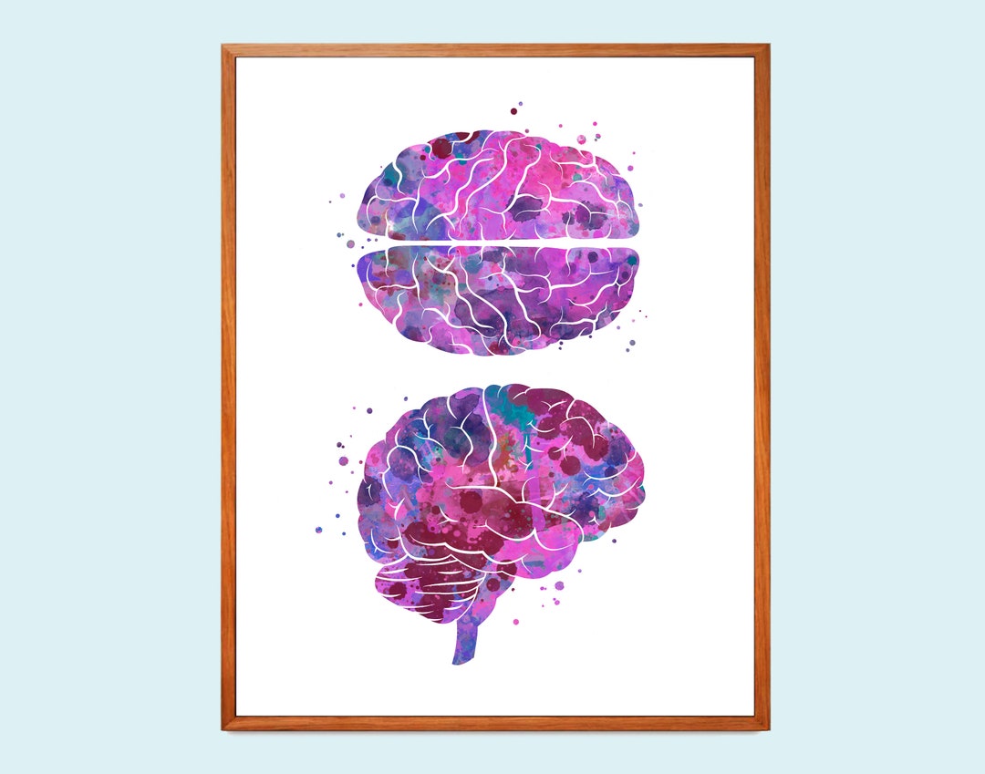 Watercolor Brain Art / Human Brain Artwork/ Anatomy Art / Neurology ...
