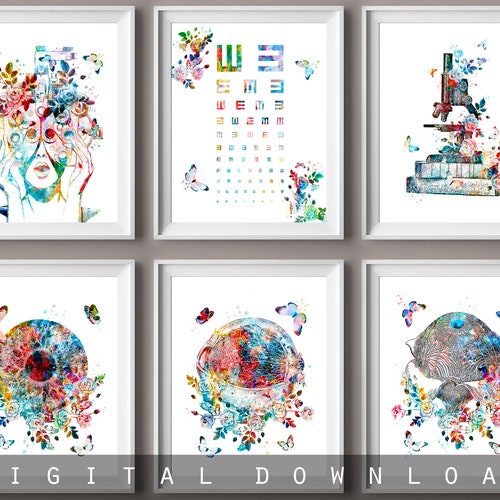 Optometry Poster Set 6 Ophthalmology Art Eye Anatomy Decor | Etsy