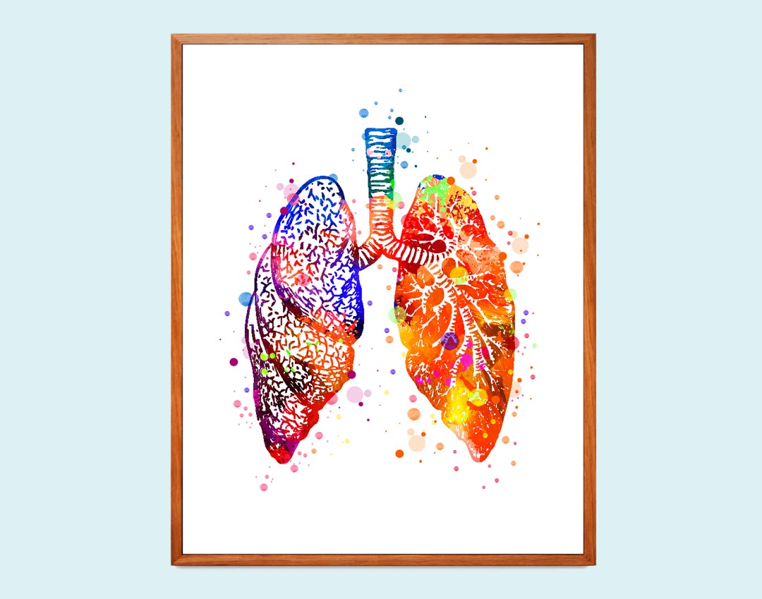 Respiratory System Art, Anatomical Lungs, Pulmonologist Gift, Medical ...