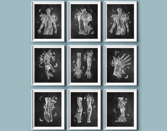 9 Floral Anatomy Artwork Human Physiology Art Musculature | Etsy