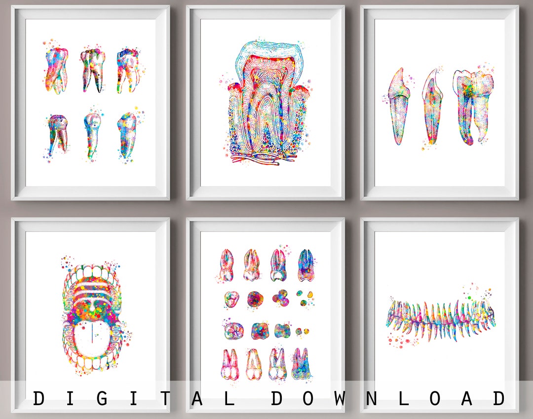 Tooth Anatomy Art Prints: Dentist Office Decor (set of 6) (digital ...