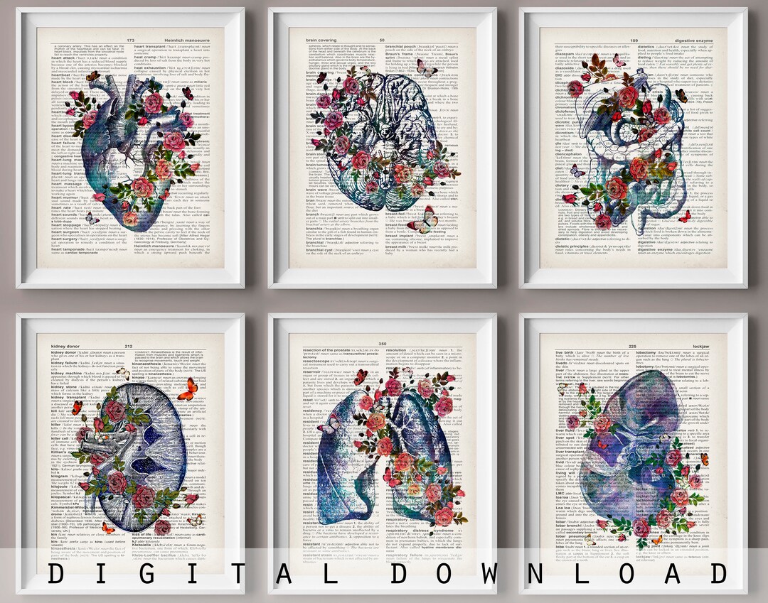 6 Vintage Human Organ Anatomy Art Floral Medical Art Dictionary Art Old ...