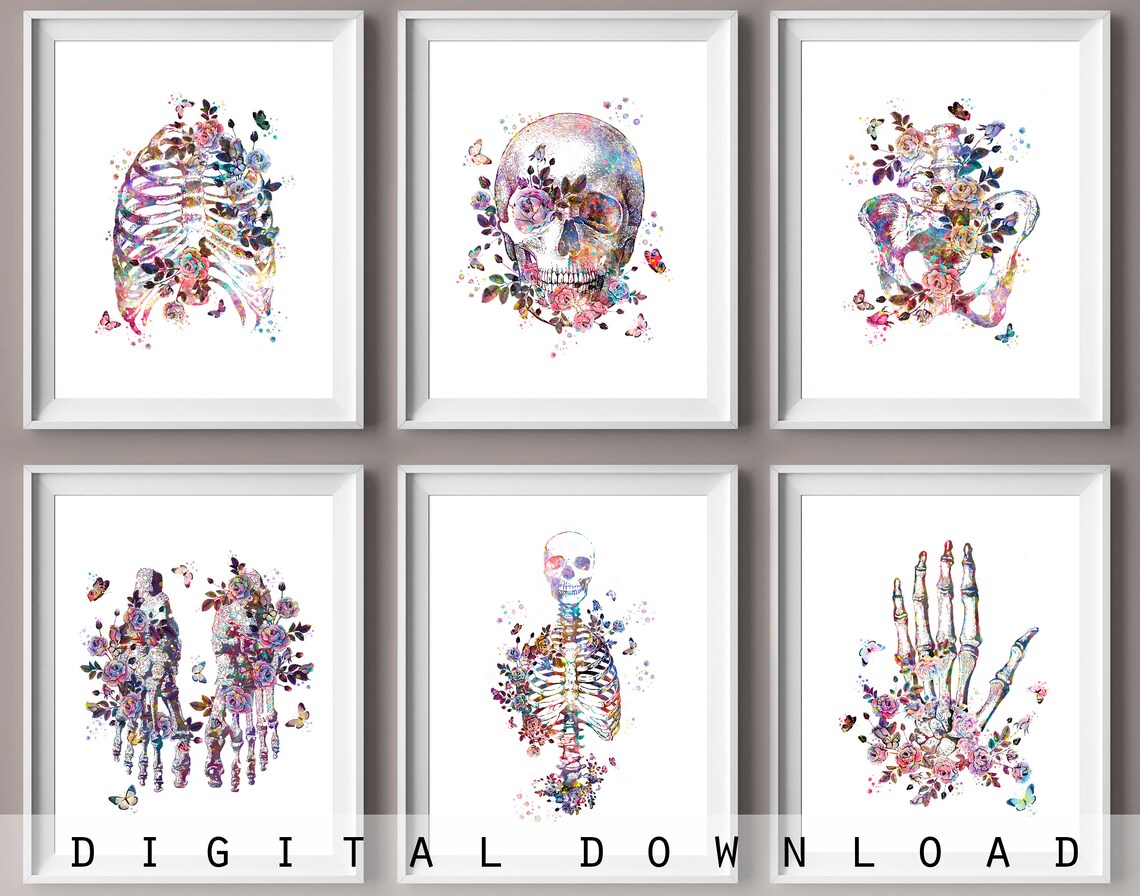 6 Floral Skeleton Art Human Anatomy Decor Medical Art Skeletal | Etsy