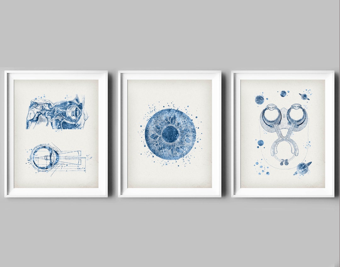 Optometry Art Set, Ophthalmology Artwork, Eye Anatomy Print, Optician ...