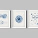 Optometry Art Set, Ophthalmology Artwork, Eye Anatomy Print, Optician ...