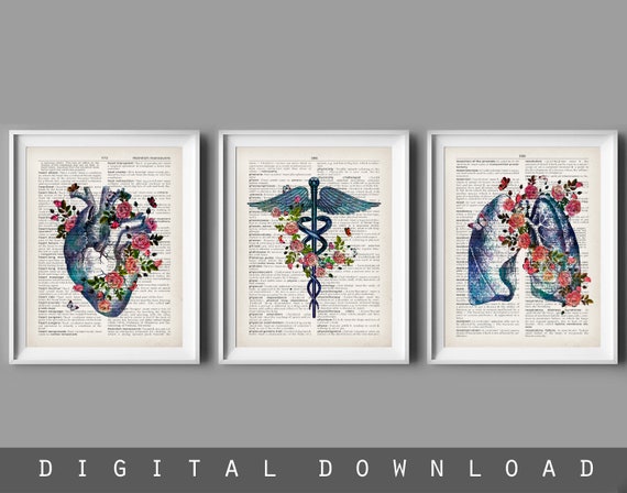 3 Doctor Gift Floral Anatomy Art Medical Dictionary Art RN - Etsy
