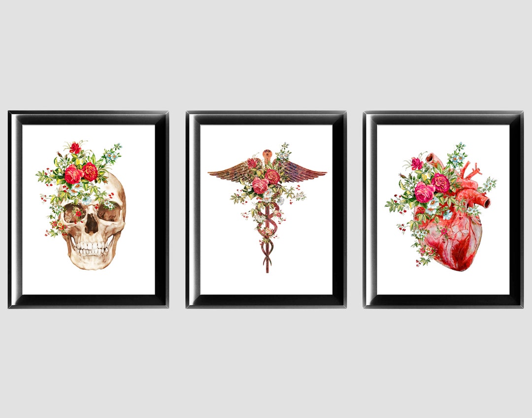 3 Flowery Anatomy Artwork Watercolor Medical Art Skull and Rose Art ...