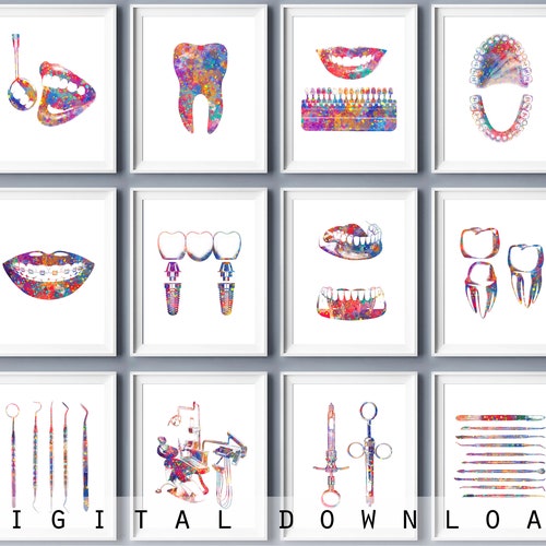 4 Tooth Anatomy Art Dental Poster Medical Decor Dentist Gift - Etsy
