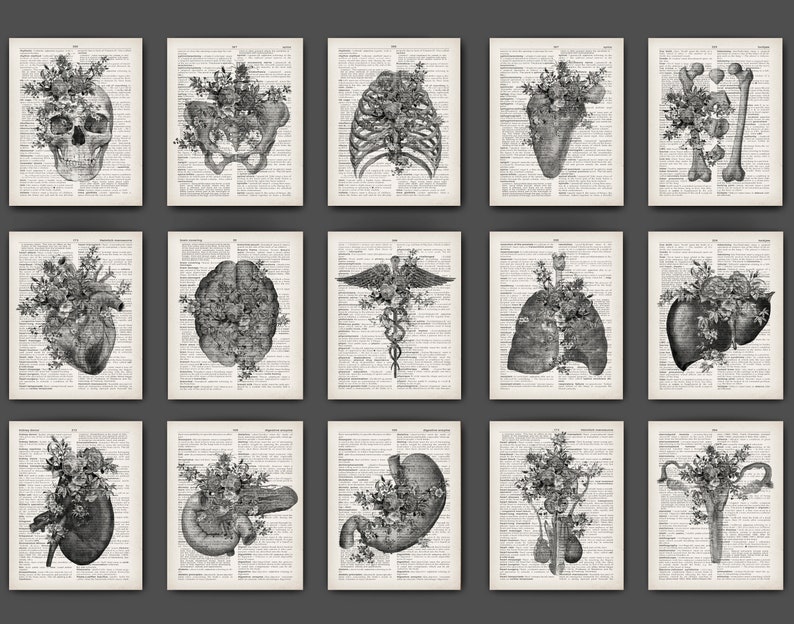 Set 15 Anatomy Artwork Black White Medical Art Dictionary Art - Etsy