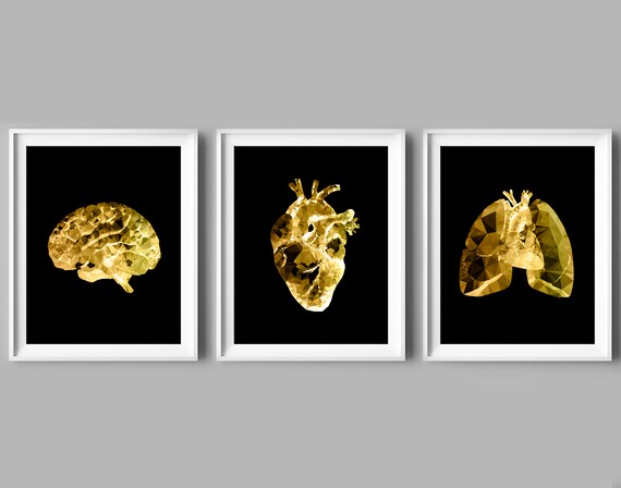 3 Gold Anatomy Art Low Poly Drawing Medical Decor Brain Art - Etsy