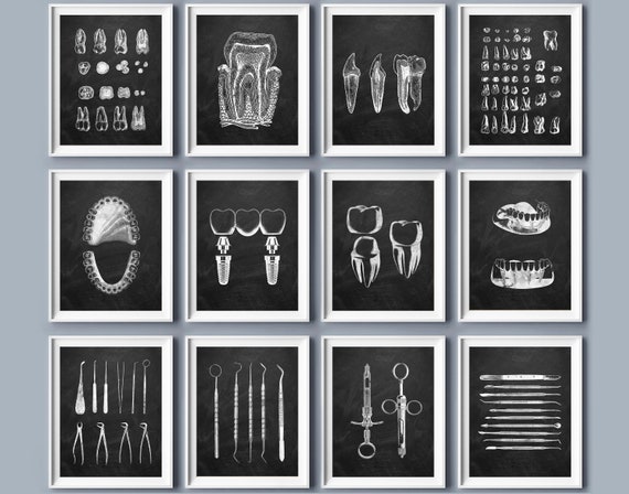 Set 12 Dental Art Dentist Office Gift Medical Artwork Dentist - Etsy