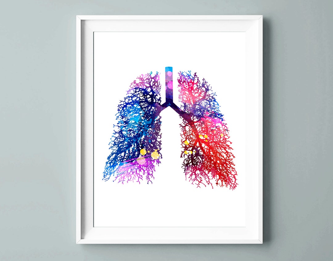 Bronchial Tree Anatomy Art Lungs Print Respiratory System Poster ...