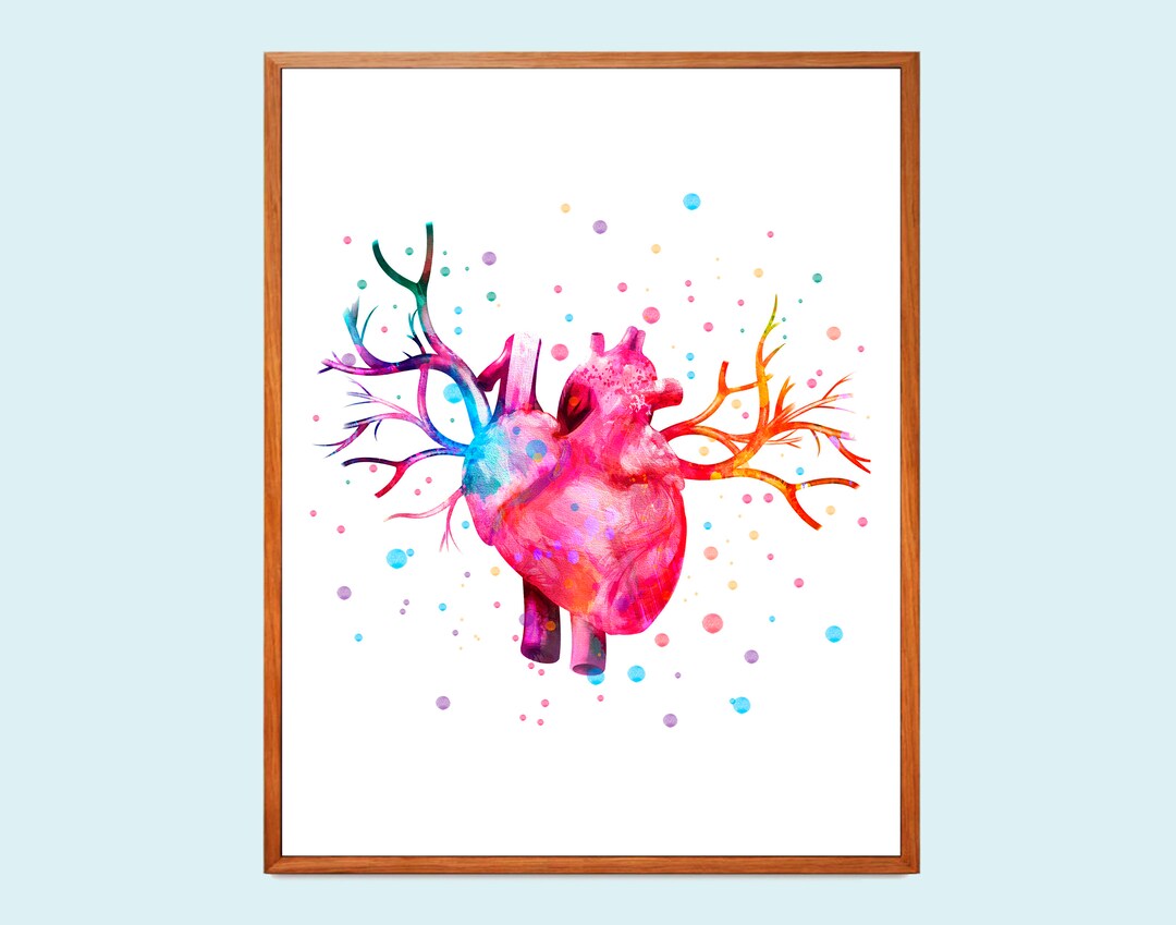 Cardiology Art, Human Heart Art, Anatomical Heart, Heart and Blood ...