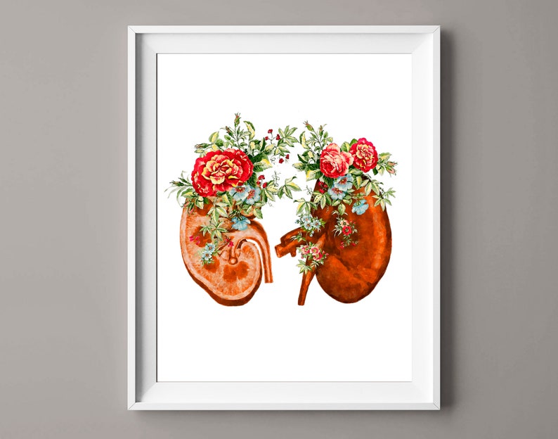 Kidneys and Flowers Art Anatomy Art Medical Artwork - Etsy