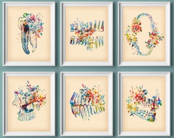 6 Dental Anatomy Posters Dentist Office Gift Dentistry Art Medical ...
