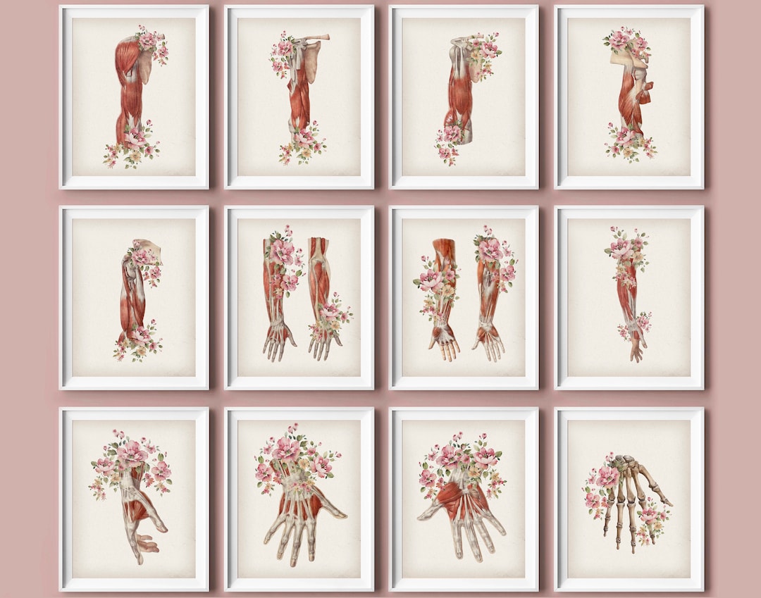 Set 12 Hand Anatomy Art Vintage Medical Art Arm Muscle Poster Wrist ...